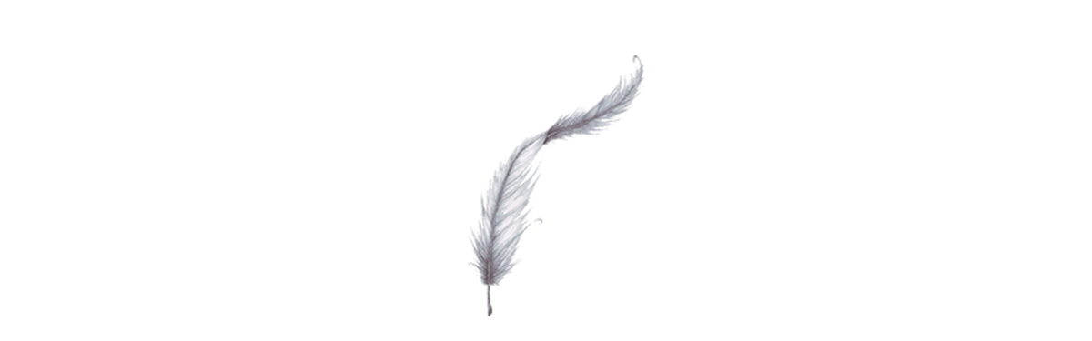 The Discovery Kit – Plume Impression